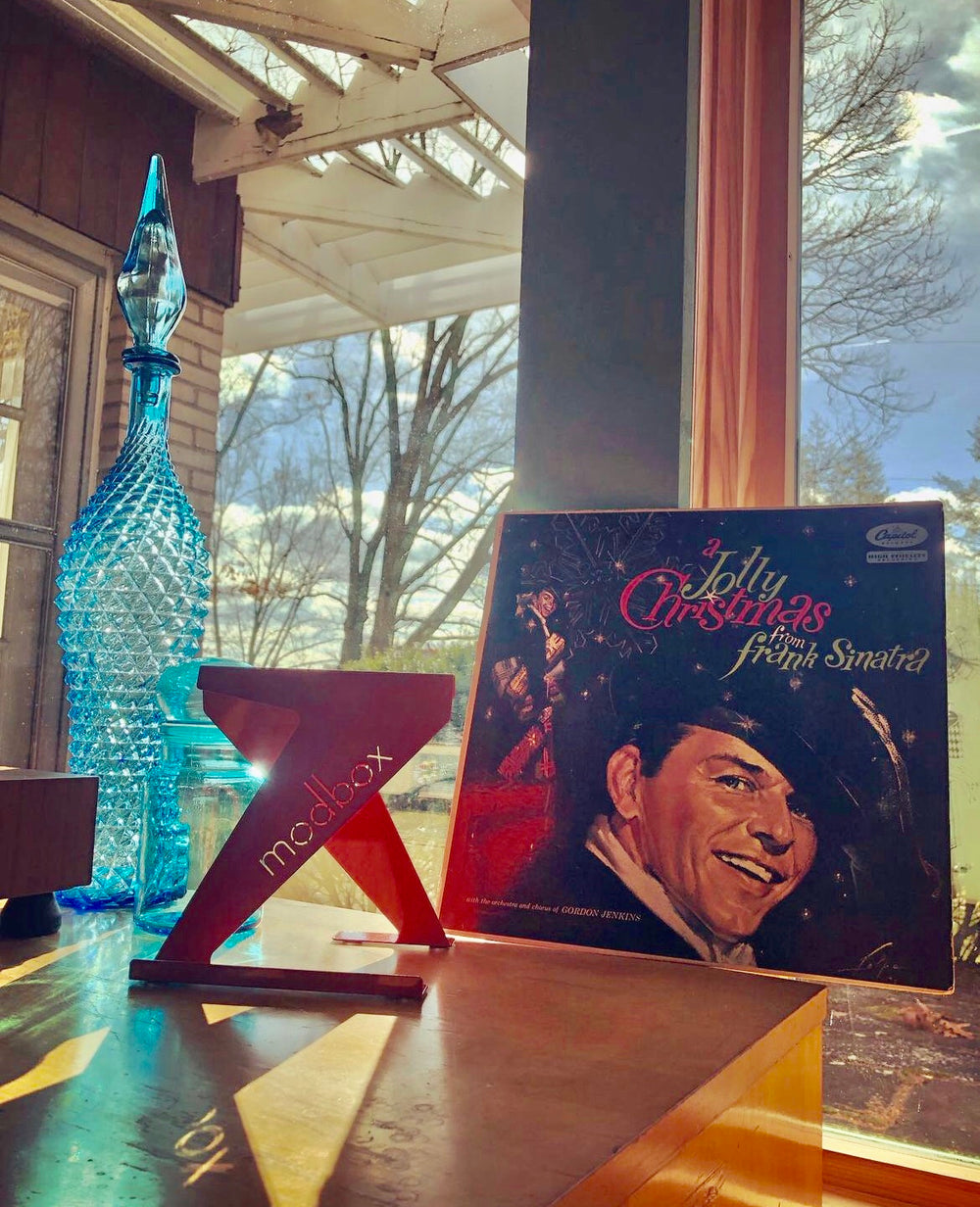 Vinyl Record Holder-Display Gallery - modbox USA